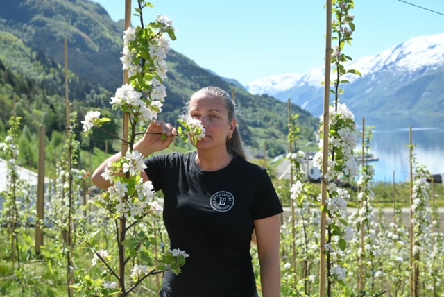 Epli Sideri - Matarena