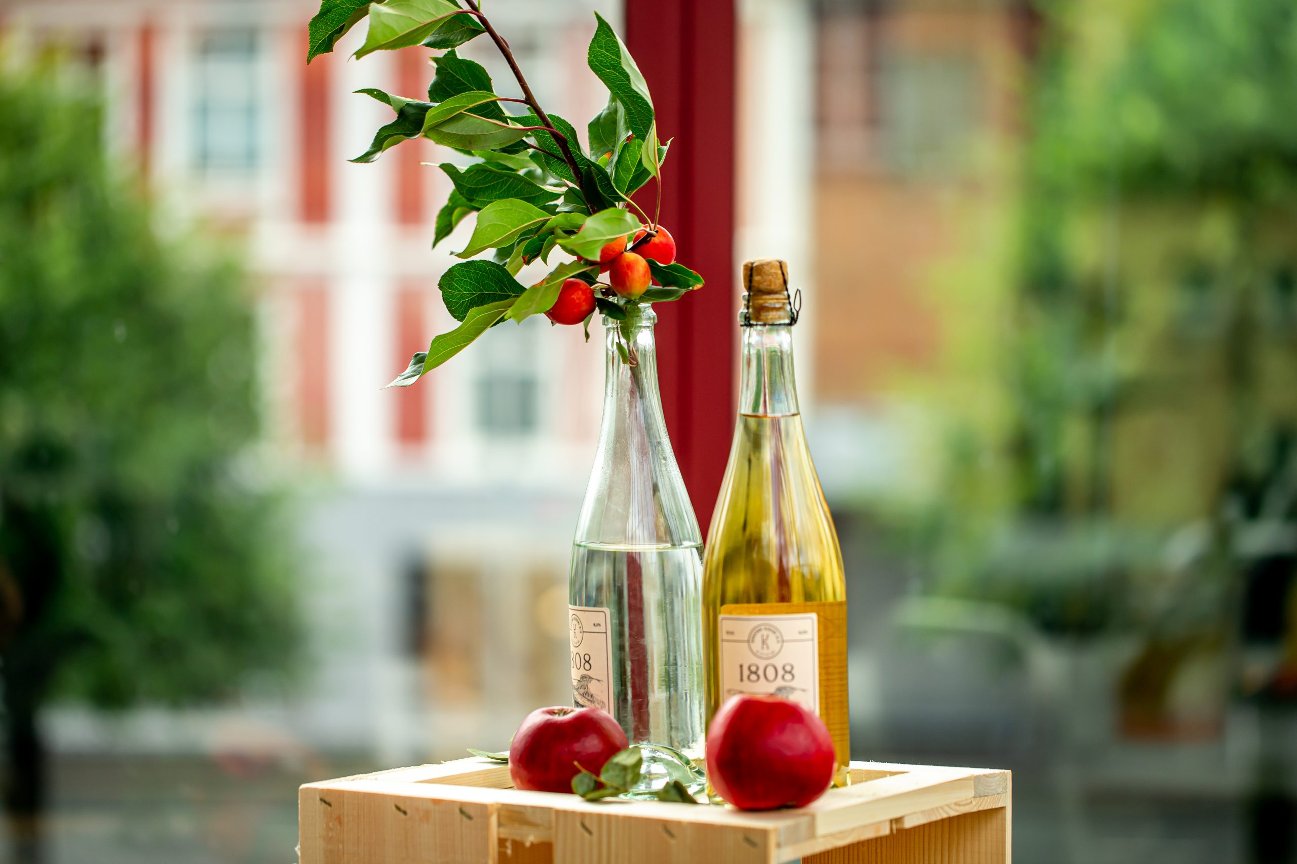 Kvestad Sideri - Matarena