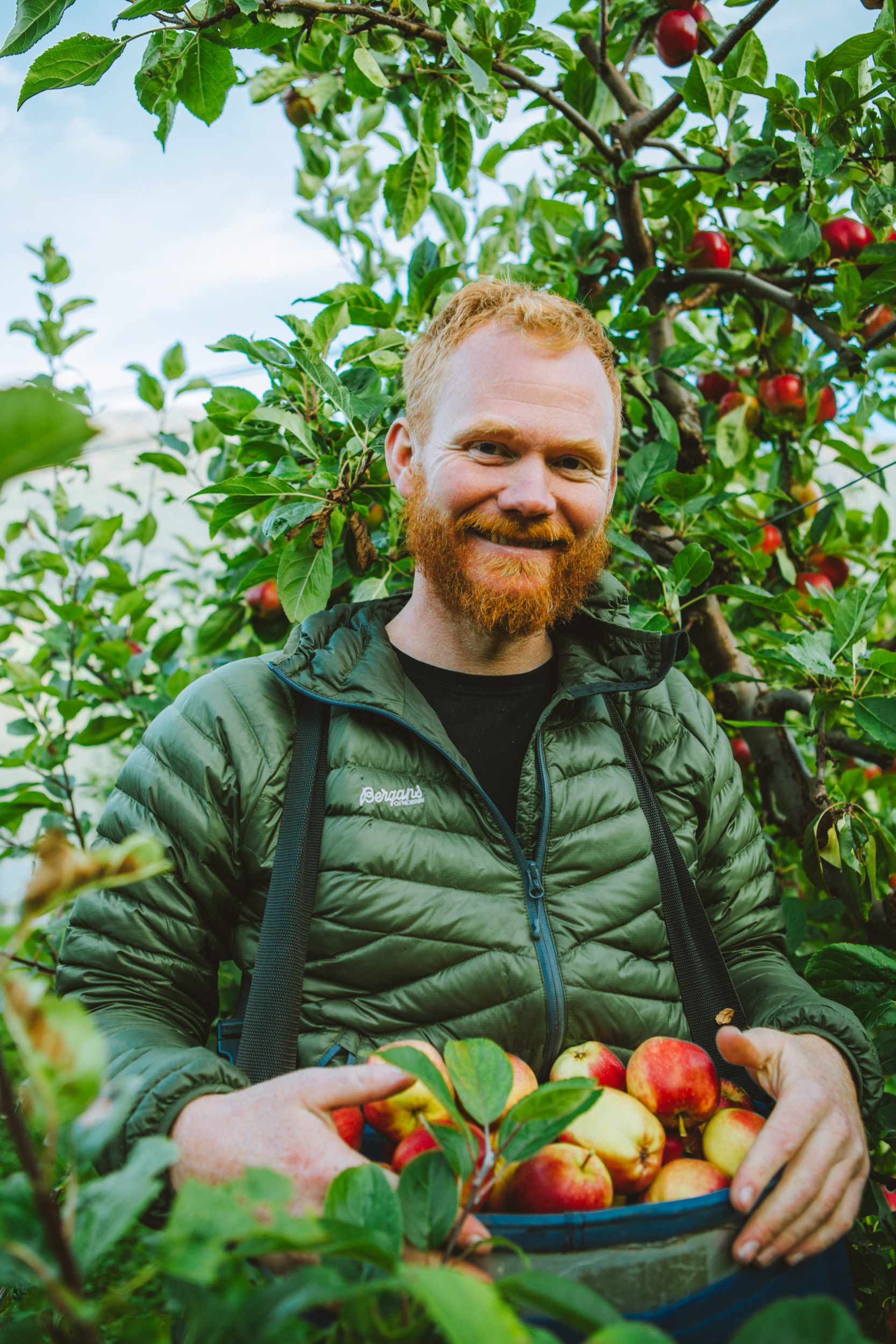 Alde Sider - Matarena