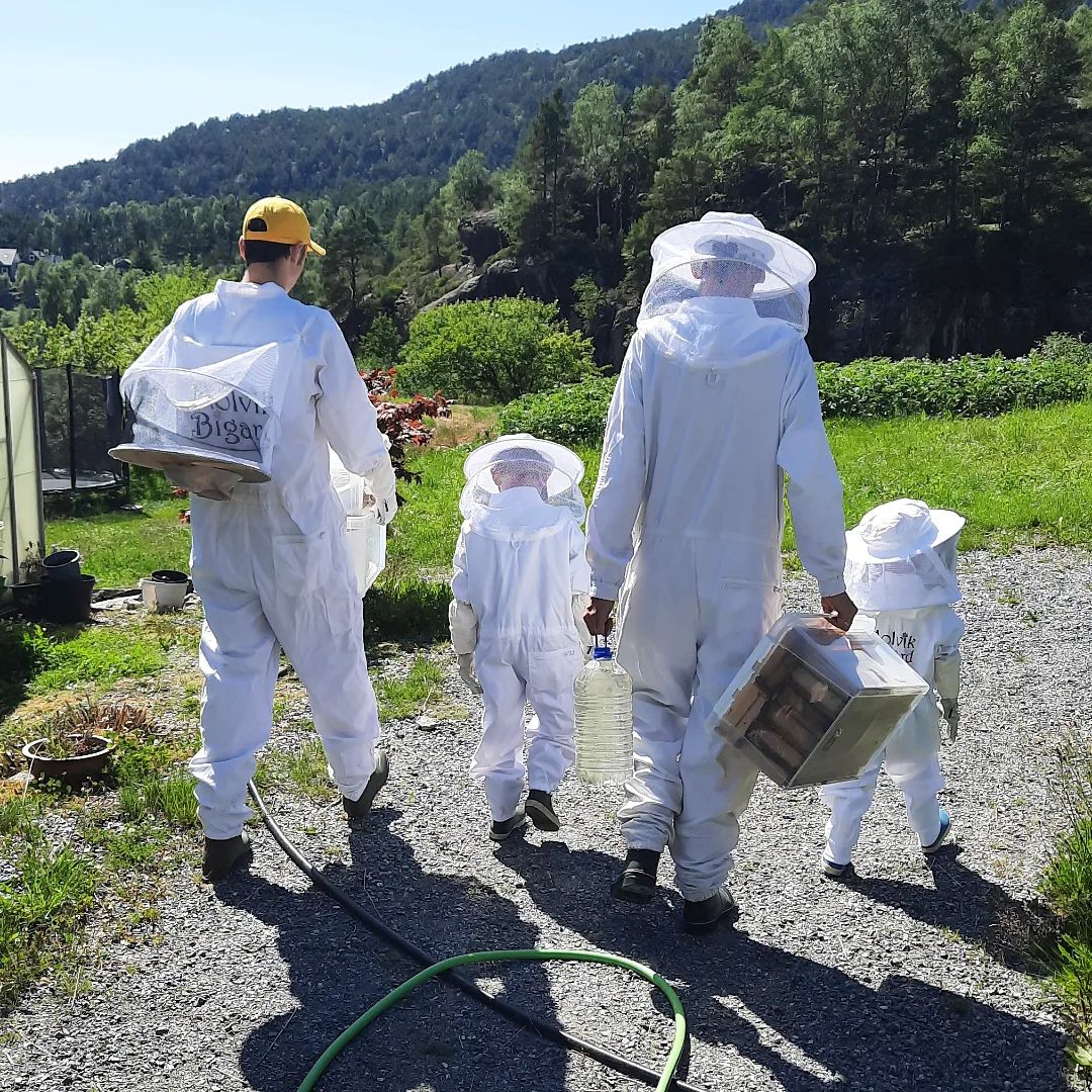 Molvik Gard - Matarena